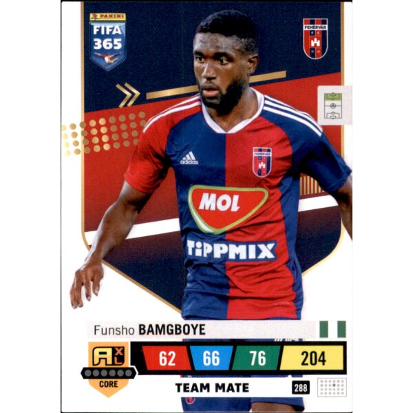 288 - Funsho Bamgboye - Team Mate - 2023, 0,39